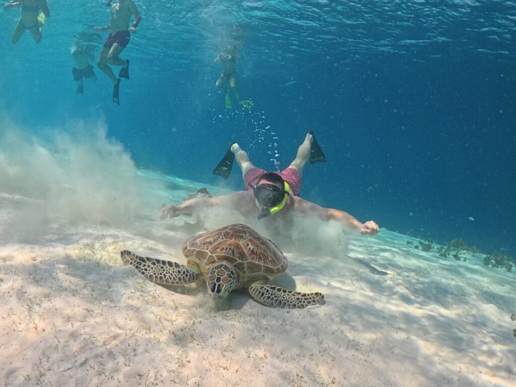 Benefits of Gili Trawangan Day Trip | Best Gili Trawangan Snorkeling ...
